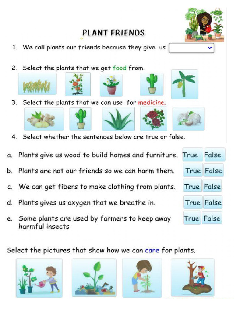 Plant friends grade 1 worksheet | PDF