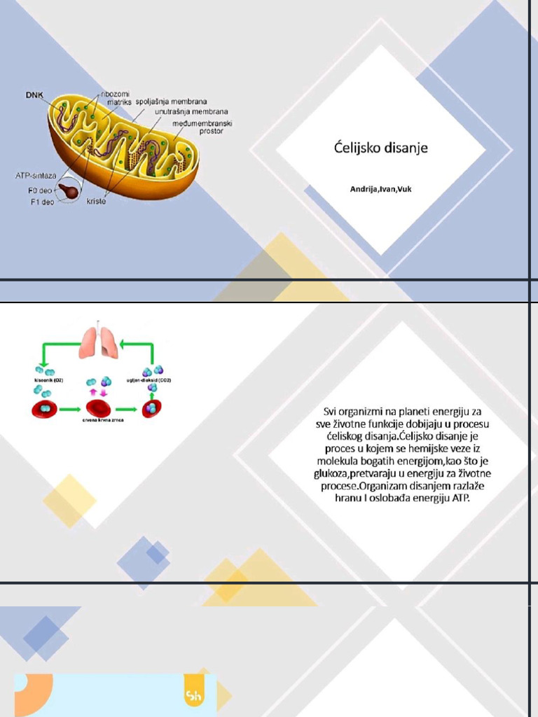 Prezentacija | PDF