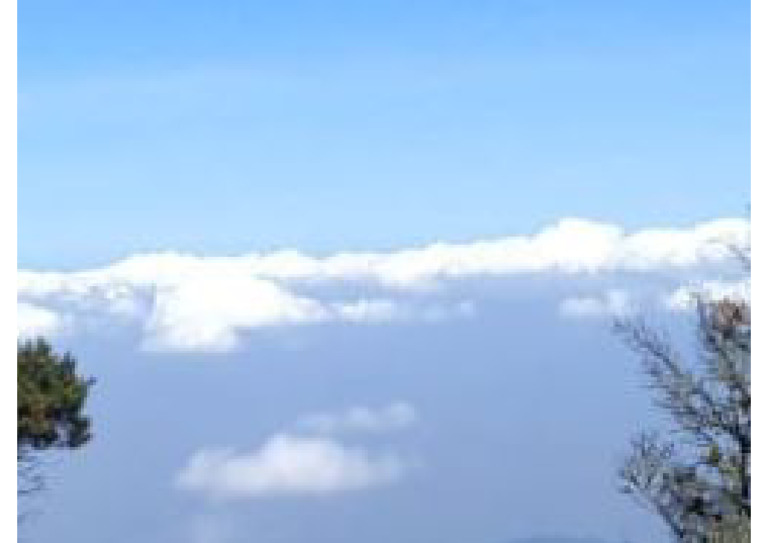 Awan Berarak | PDF