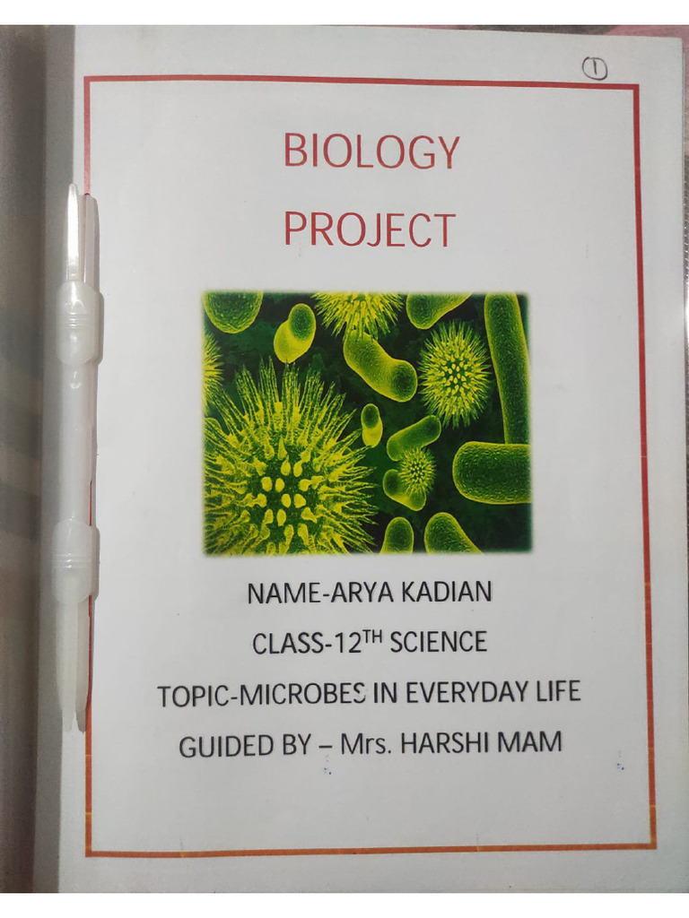 Biology Investigatory Project | PDF