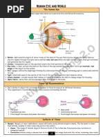 Human Eye and Light Refraction Explained | PDF | Eye | Human Eye