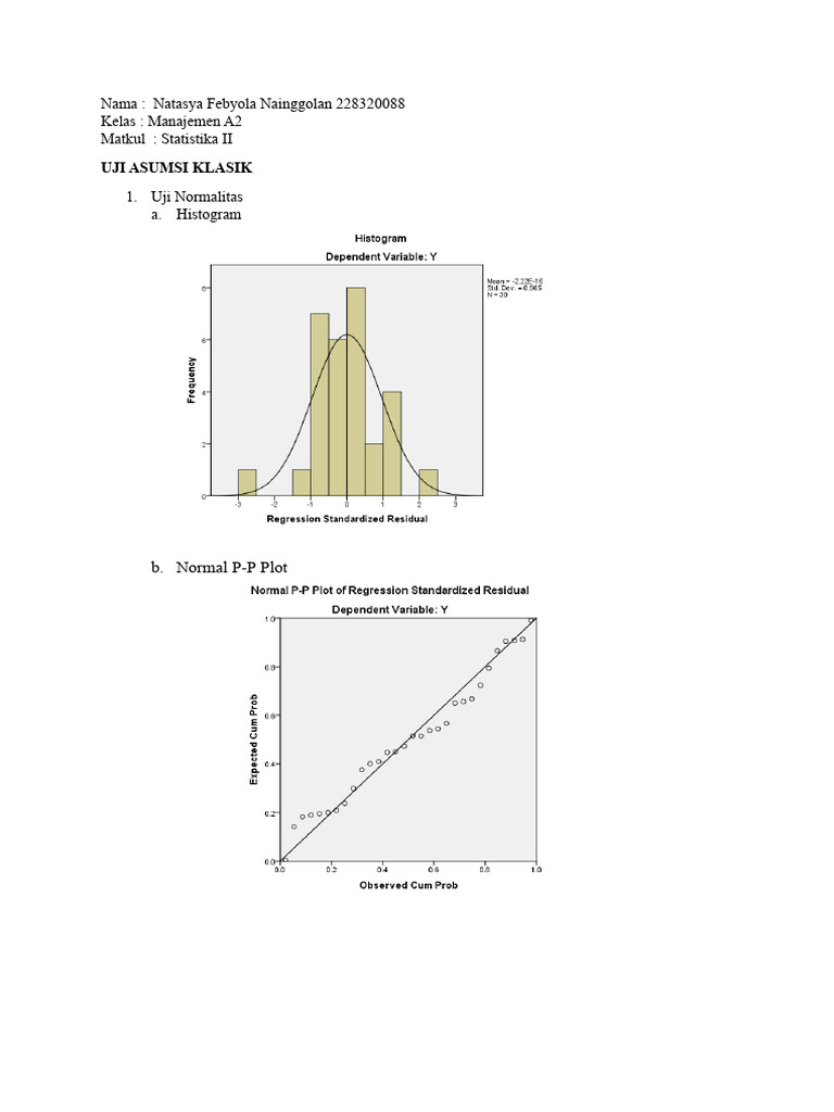 Natasya Febyola Uji Asumsi Klasik | PDF | Data Analysis | Statistical ...