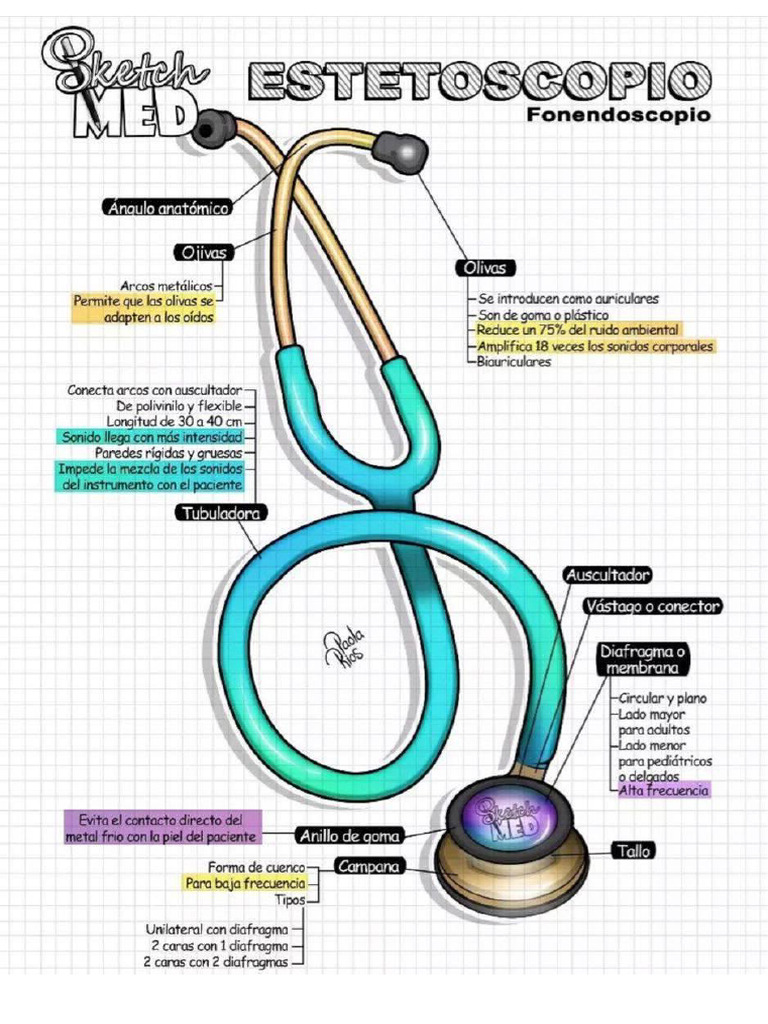 Partes Que Conforman Un Estetoscipio Pdf