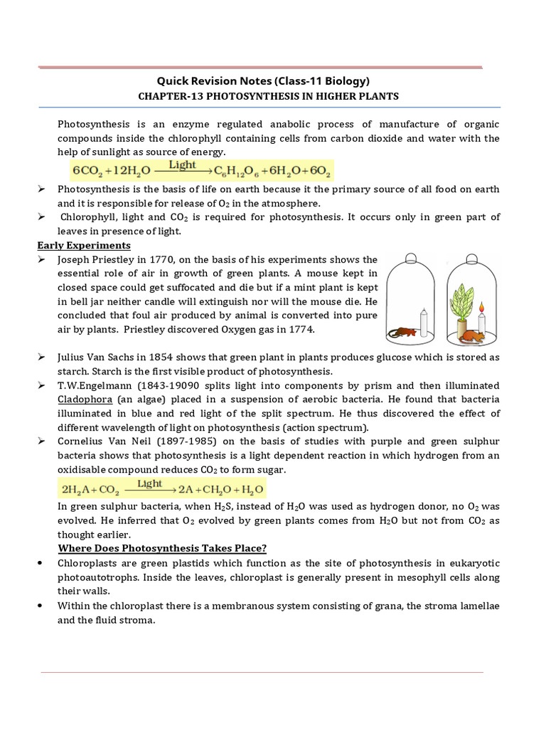 11 Biology Notes ch13 Photosymthesis in Higher Plants | PDF ...