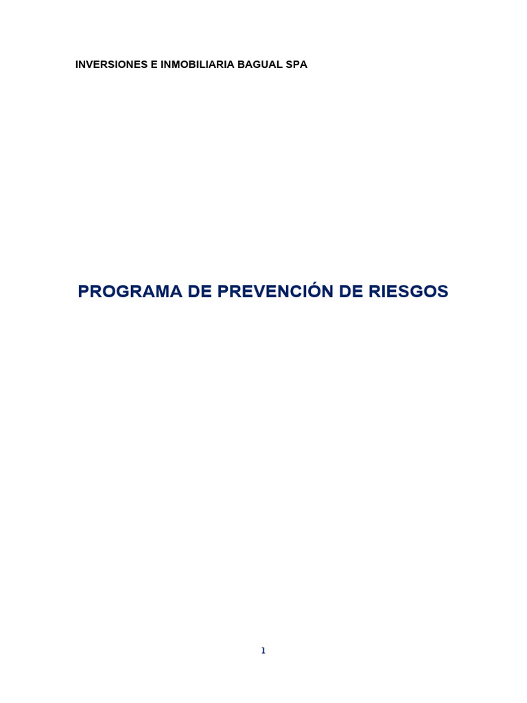 Programa Prevencion de Riesgos | PDF | Seguridad y salud ocupacional | Valores