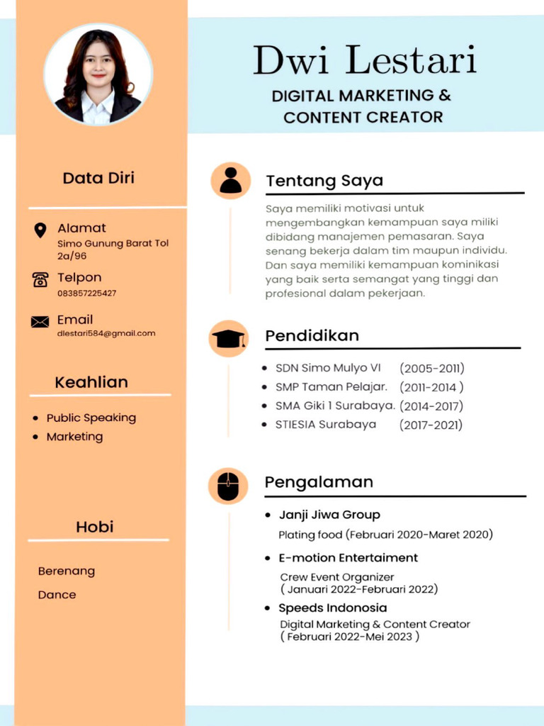 CV PDF | PDF