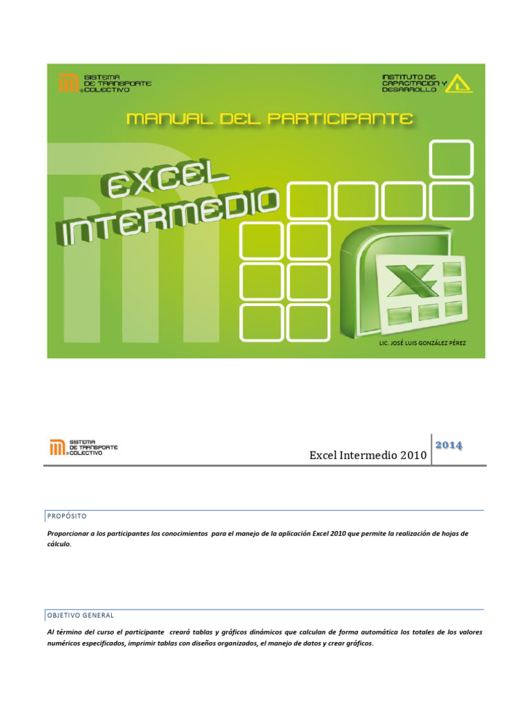 Manual Excel Intermedio | PDF | Microsoft Excel | Hoja de cálculo