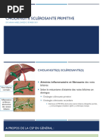 Critères de Tokyo pour cholécystite aiguë | PDF | Vésicule biliaire | Médecine clinique