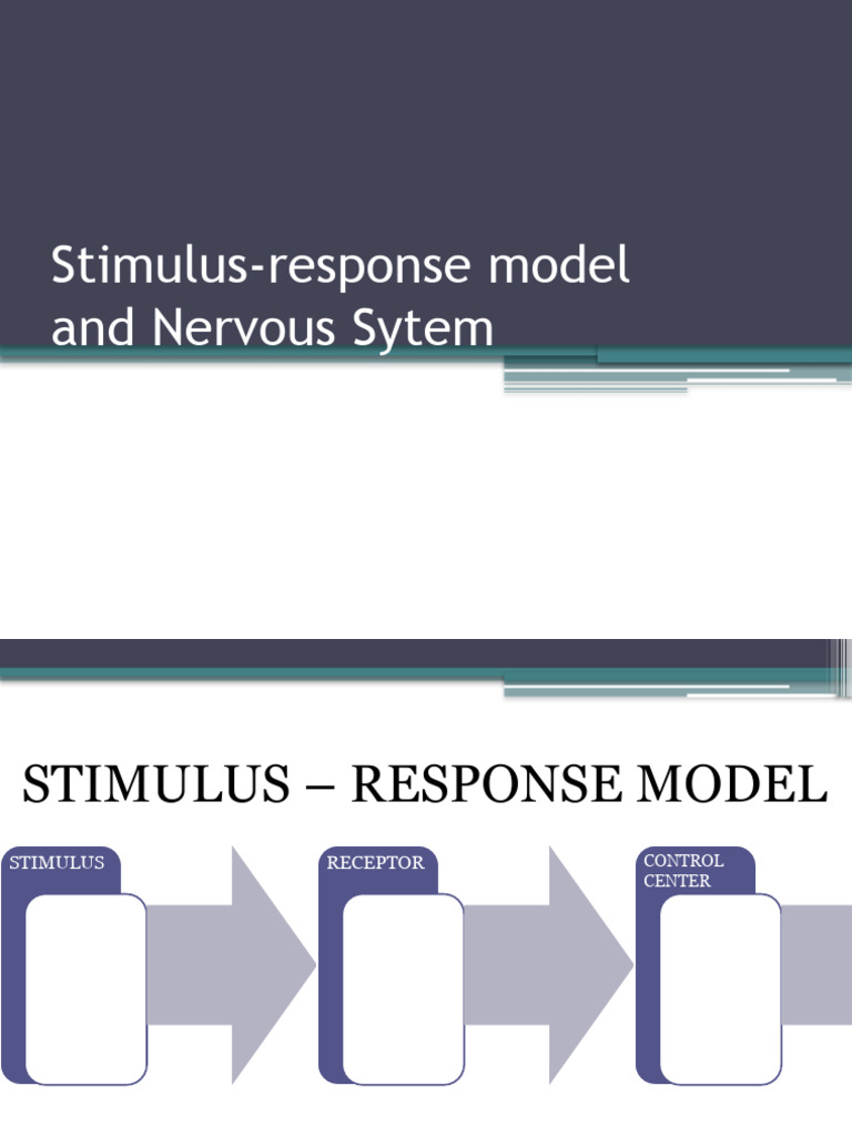 Nervous System & Stimulus-Response | PDF