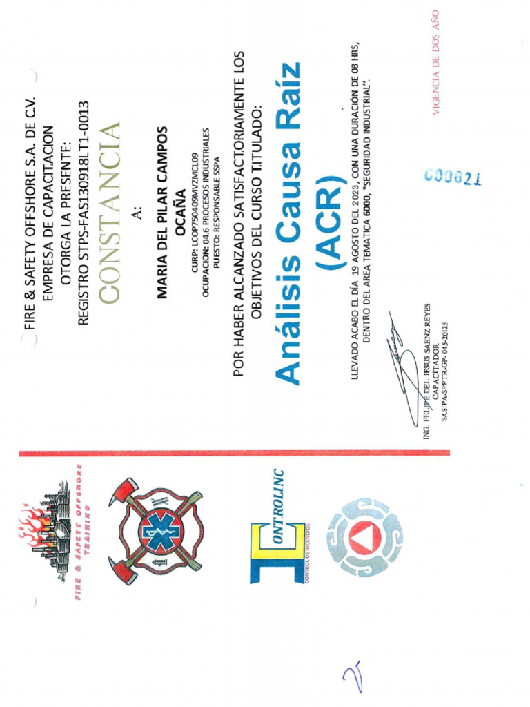 Const. Analisis Causa-Raiz | PDF