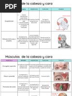 Función y Anatomía del Músculo Mentoniano | PDF | Cara | Anatomía humana