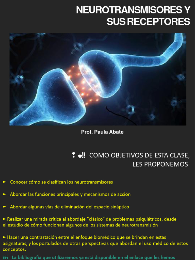 Neurotransmisores y sus funciones clave | PDF | Sinapsis | Norepinefrina