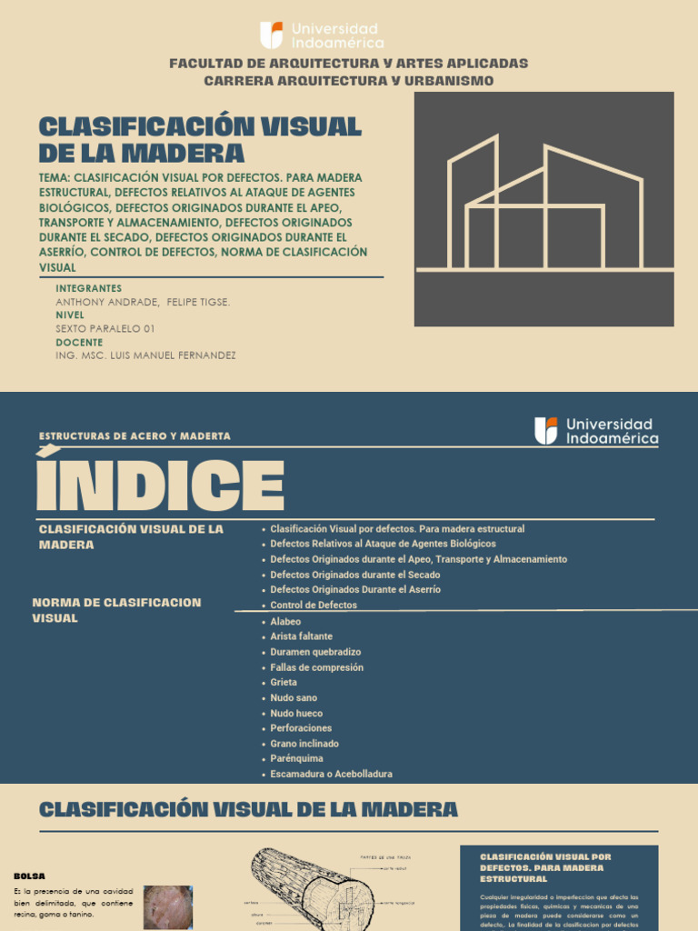 Andrade_Tigse_Tarea 3. Infografía. Clasificación visual de la madera ...