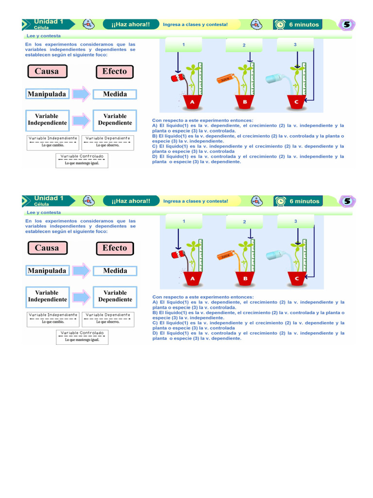 Clase 5 Haz Ahora | PDF