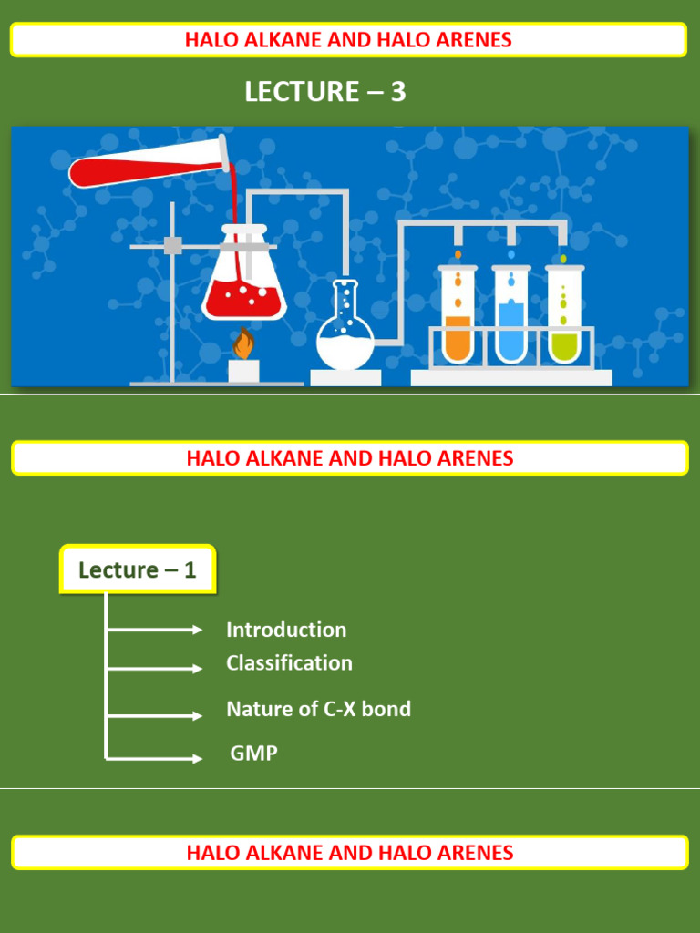 Halo Alkanes and Arenes Overview | PDF | Hydrocarbons | Carbon