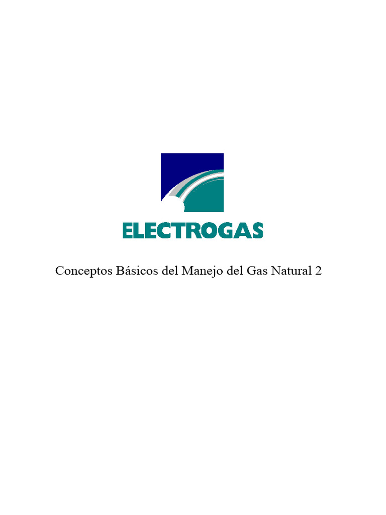 Conceptos Básicos Del Gas Natural 2 | PDF | Cromatografía | Elución