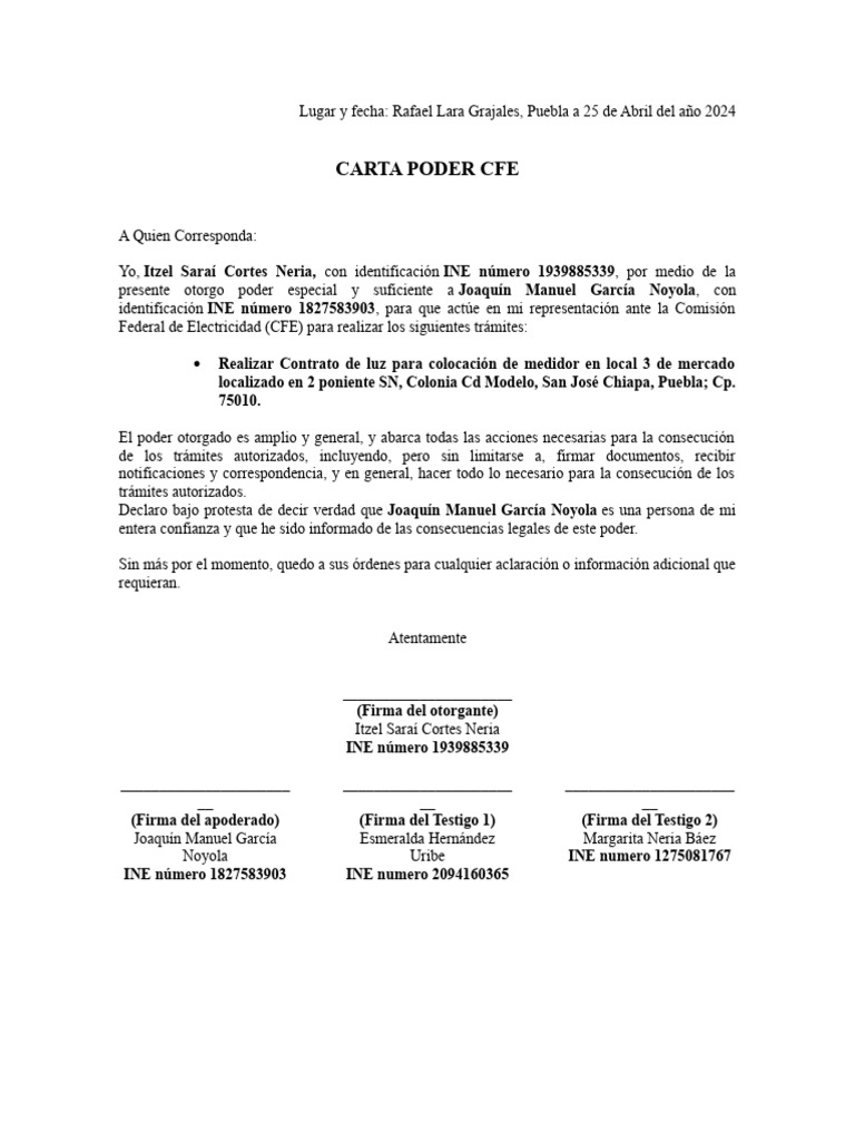 Carta Poder Cfe | PDF | Política
