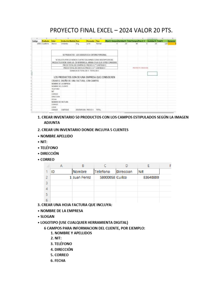 Proyecto Final Excel 2024 | PDF | Informática | Software