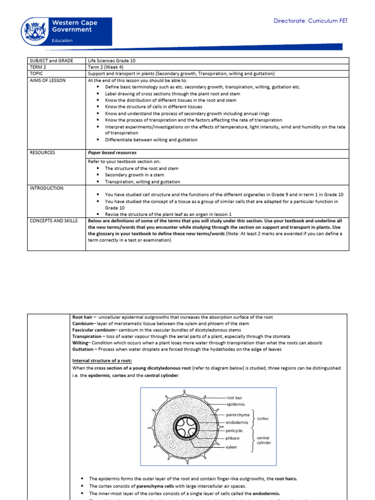 Life Sciences Grade 10 Term 2 Week 4 - 2020 2 | PDF | Plant Stem ...