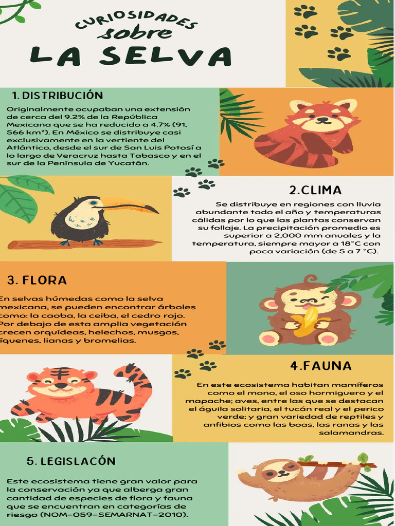 Distribución y características de la selva mexicana PDF | Descargar ...