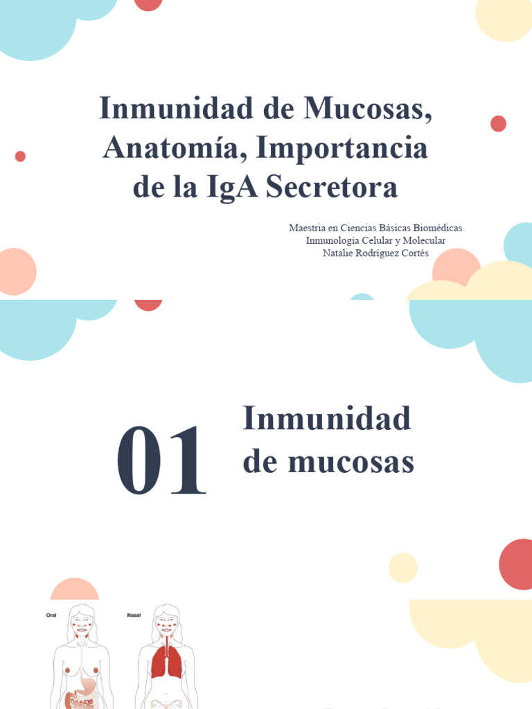Inmunidad de Mucosas y la IgA Secretora | PDF | Inflamación ...