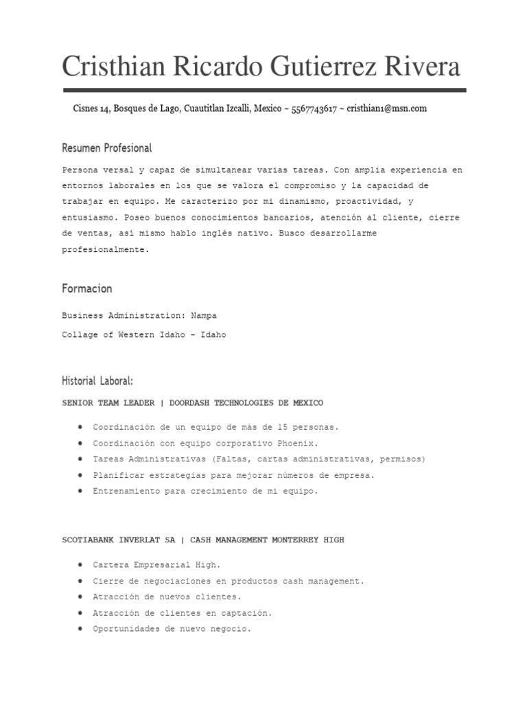 Cv Esp Pdf Negocios