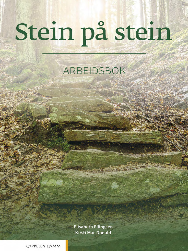 Stein På Stein - Arbeidsbok | PDF