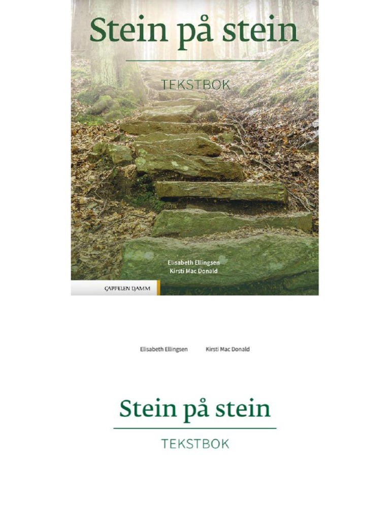Stein på Stein Textbok (2021) | PDF