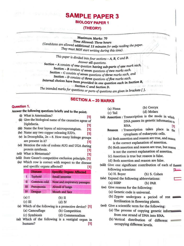12 ISC Sample Paper 3 | PDF