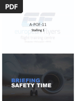 Stall Warning System | PDF | Airspeed | Aviation
