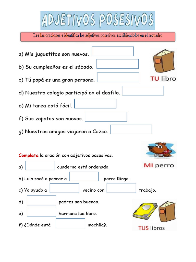Ejercicios de Adjetivos Posesivos | PDF | Artes del Lenguaje y ...