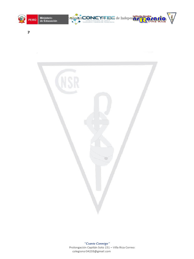 Proyecto de Ccss - Abia - Nsr-1 | PDF | Perú