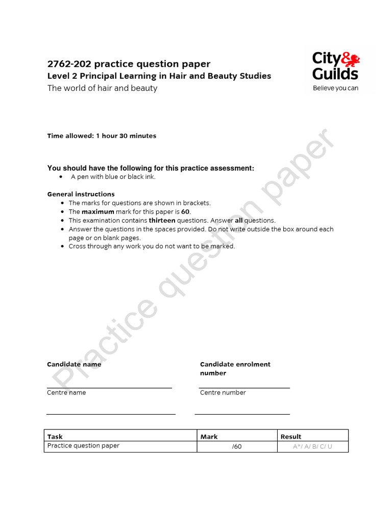 Level 2 Hairdressing Exam Practice Paper | PDF | Hairdresser