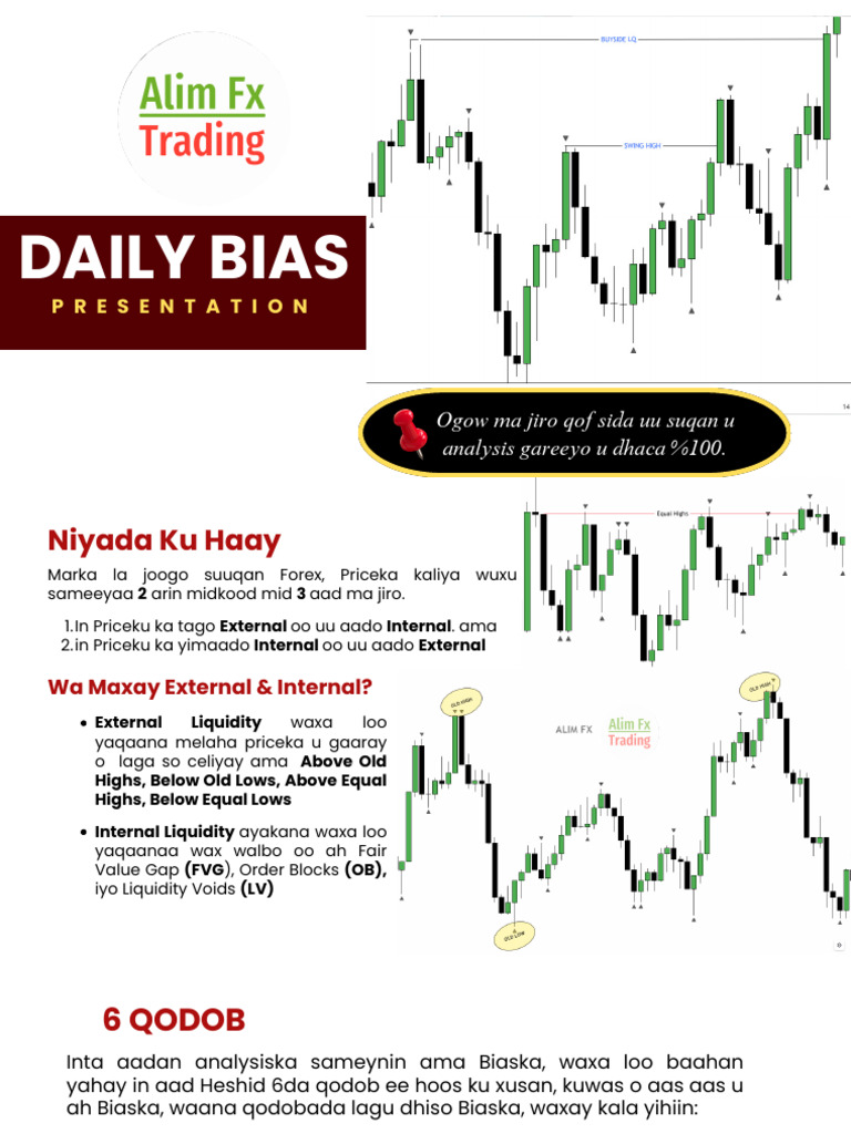 Daily Bias Trading Strategies Explained | PDF | Financial Markets ...