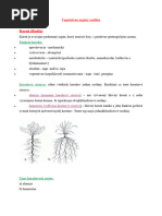 Kvet Pracovný List | PDF