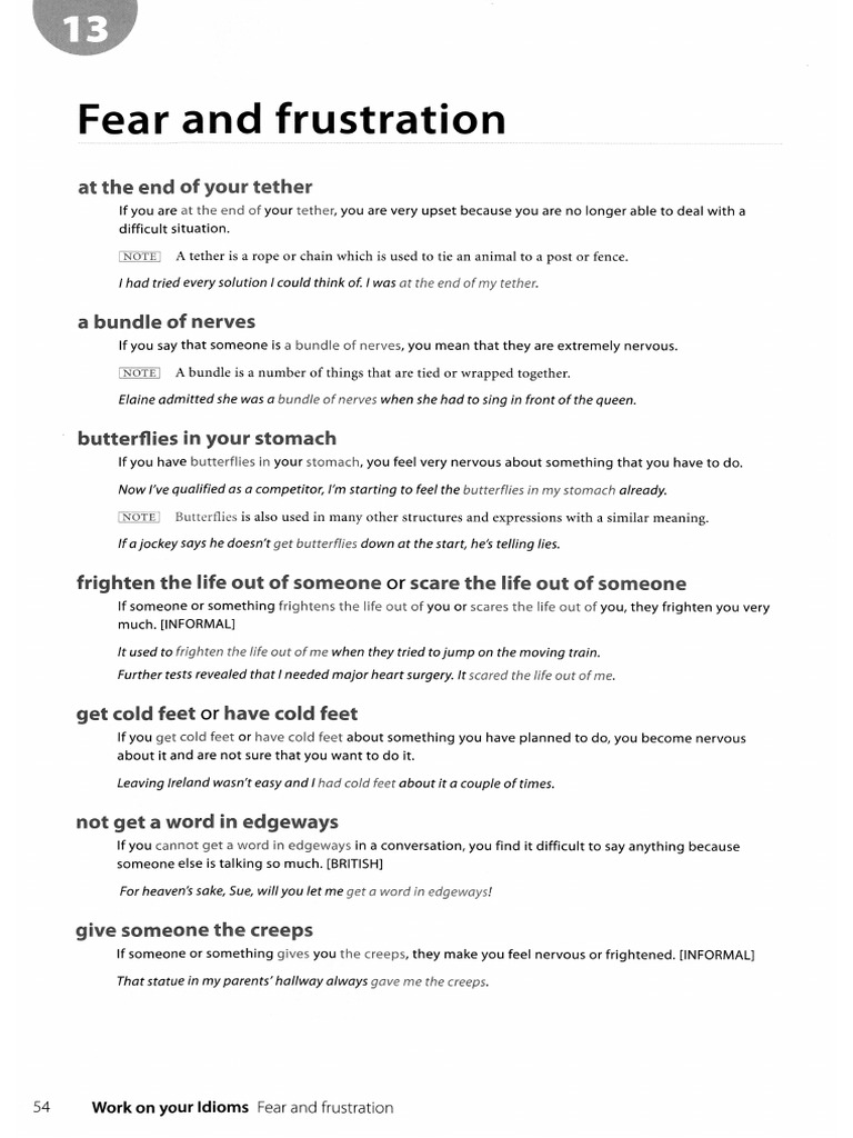 Fear and Frustration | PDF