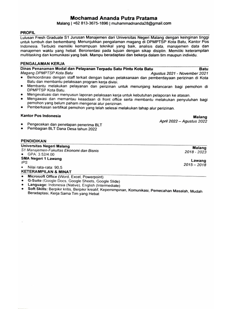 Resume - Mochanad Ananda Putra P - Compressed-1 | PDF