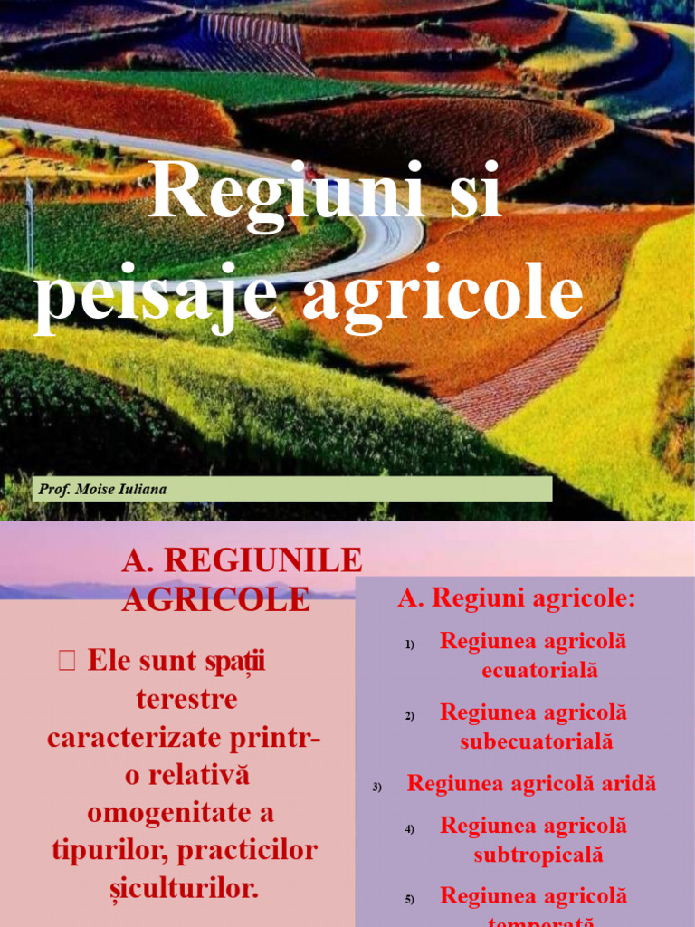 Regiuni Si Peisaje Agricole | PDF
