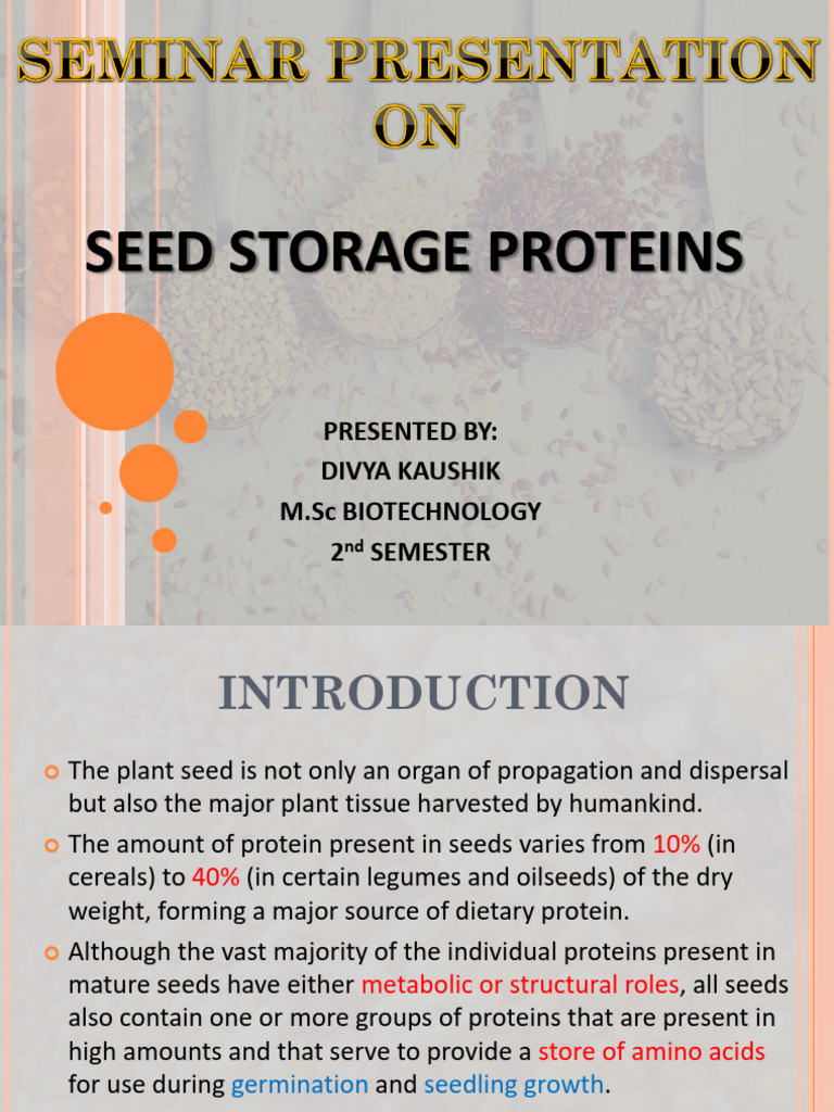 Seed-storage-proteins | PDF | Seed | Proteins