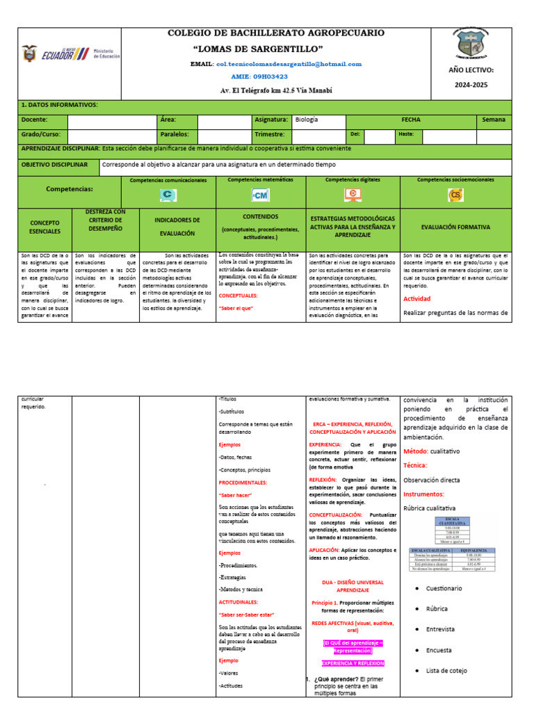 Planificacion Micro Curricular 2024-2025 | PDF | Aprendizaje | Evaluación