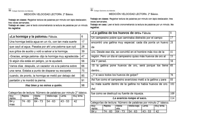 Trabajo Velocidad Lectora | PDF | Zoología