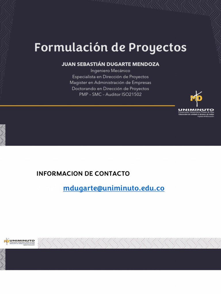 Formulación de Proyectos V24 | PDF | Marketing | Investigación de mercado