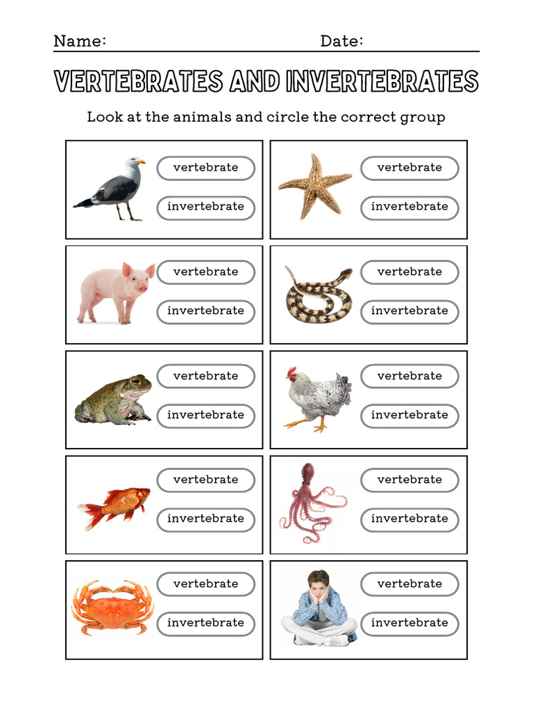 Vertebrate or Invertebrate Classification Worksheet in Colorful Simple ...