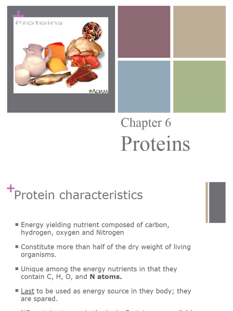 CHP 6 Proteins | PDF | Proteins | Vegetarianism