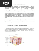 Sistema Tegumentario-Enfermedades | PDF