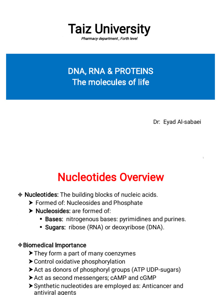 3dna Rna 3 Download Free Pdf Translation Biology Messenger Rna 3437