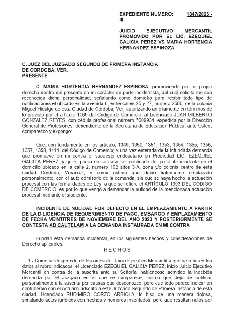 Mercantil Hortencia | PDF | Demanda judicial | Caso de ley Mercantil Hortencia | PDF | Demanda judicial | Caso de ley