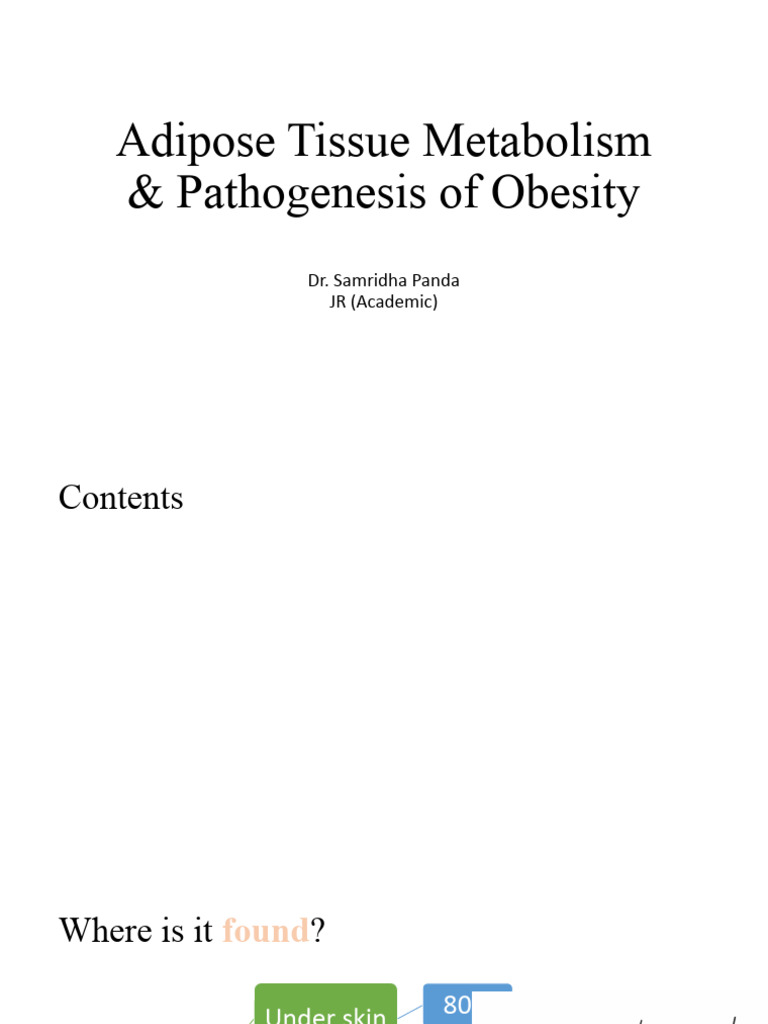 Adipose Tissue Metabolism & Pathogenesis of Obesity | PDF | Adipose Tissue | Adipocyte