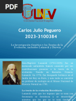 UNEV Instructivo para Seleccion PROBUS ACADEMY | PDF