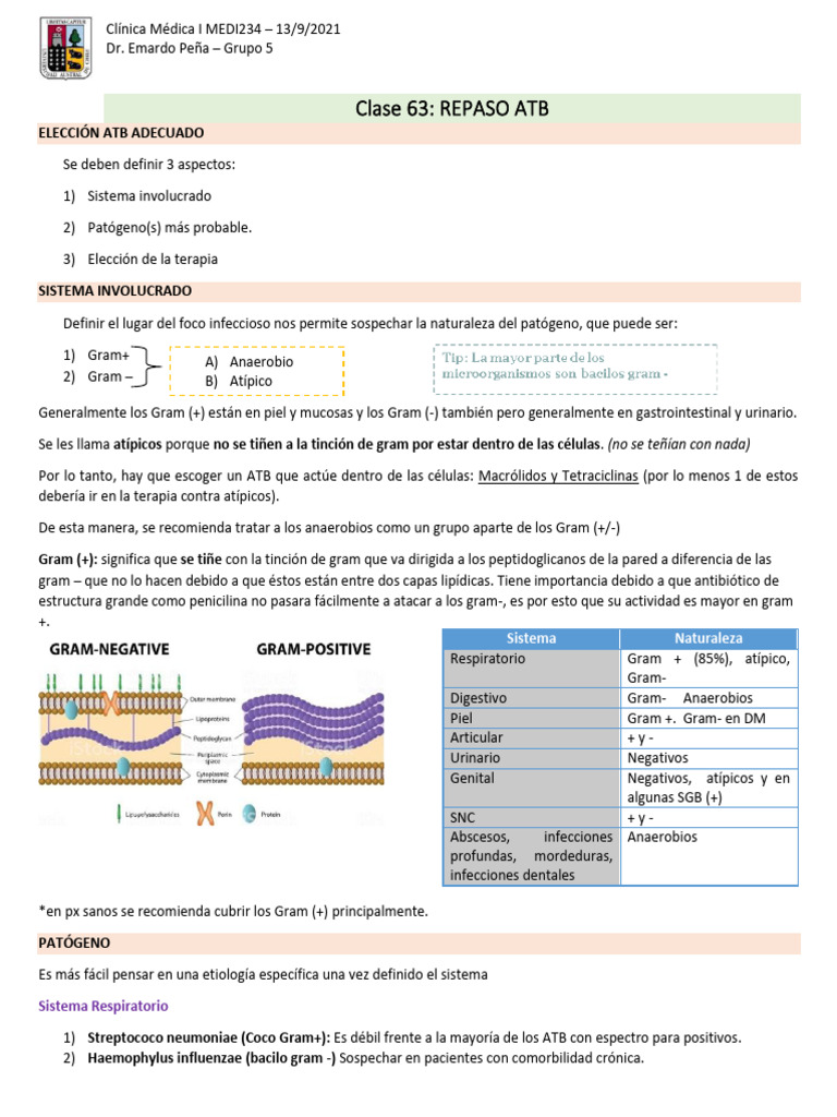 C63 Atb | PDF | Penicilina | Diarrea